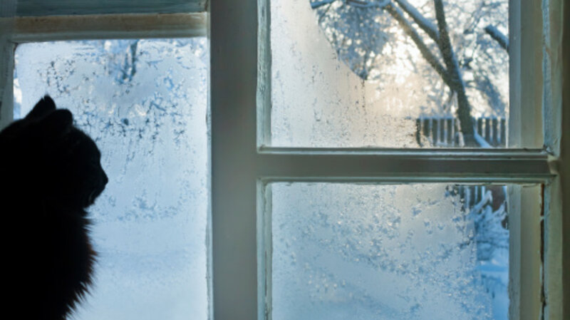 Winter Proof Your Windows